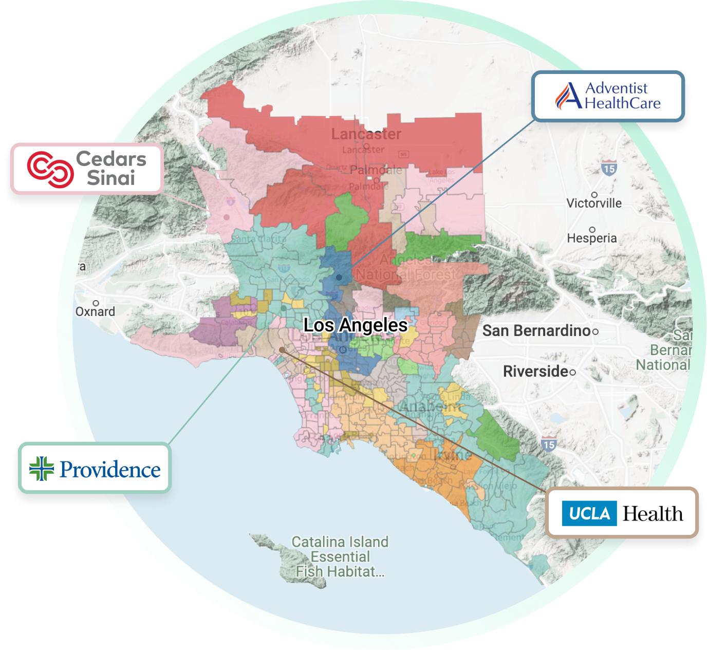 Evidence-Based Strategy for Healthcare - Trilliant Health